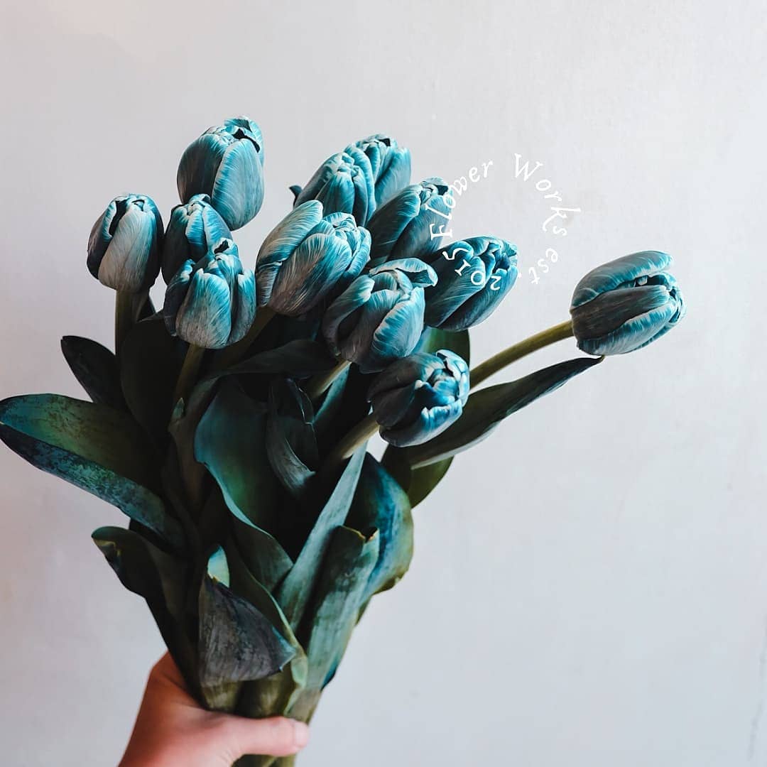 Contact - Flower Works